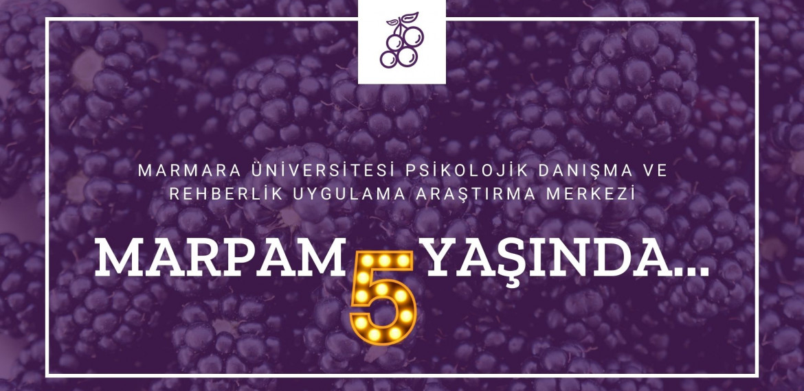 Psikolojik Danışma ve Rehberlik Uygulama Araştırma Merkezi - Marmara ...